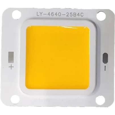 خرید و قیمت ال ای دی COB پروژکتوری 50 وات 12 ولت آفتابی مدل LY-4640 | ترب