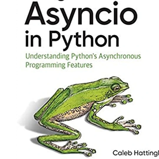 خرید و قیمت کتاب Using Asyncio in Python, 1st Edition | ترب