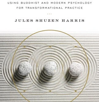 خرید و قیمت دانلود کتاب Zen beyond Mindfulness: Using Buddhist and Modern Psychology for ...