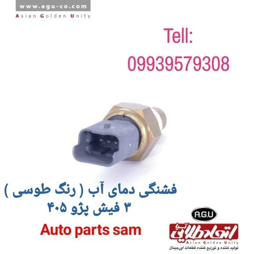خرید و قیمت مهره آب3 فیش طوسی پژو 405 اتحاد طلایی آسیا AGU | ترب