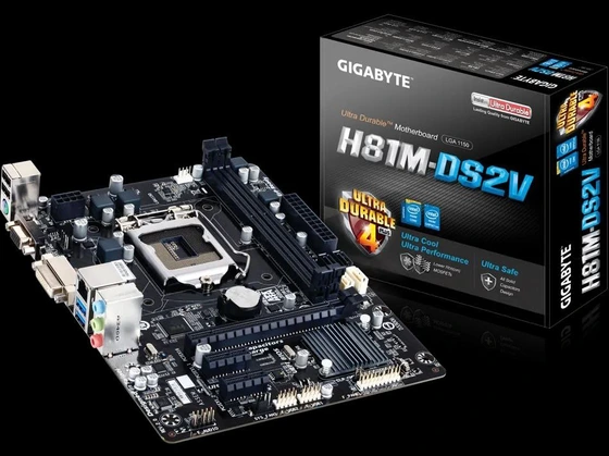 خرید و قیمت مادربرد گیگابایت مدل GIGABYTE H81M-DS2V | ترب