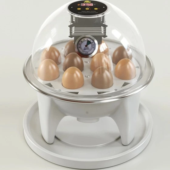 خرید و قیمت Mini Cox Genesis Incubator (Lever Rotation) | ترب