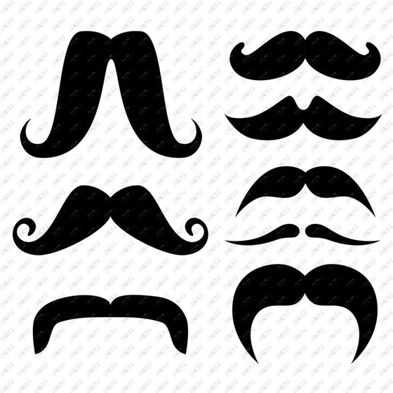 خرید و قیمت وکتور مدل های مختلف سیبیل | ترب