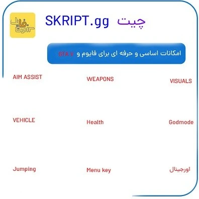 خرید و قیمت چیت SKRIPT gg برای FIVEM و GTA V | ترب