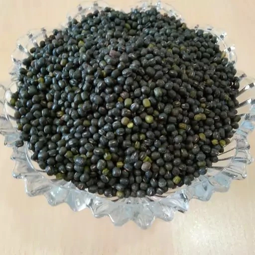 خرید و قیمت ماش سیاه یک کیلوگرمی (پس کرایه) | ترب