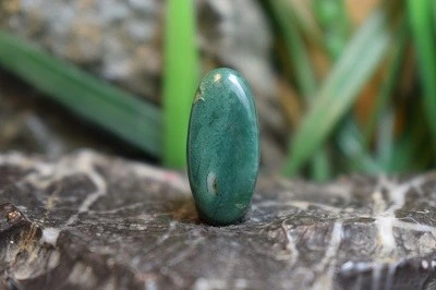 خرید و قیمت متورولایت S7488 | ترب