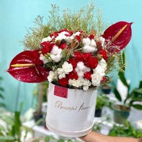 خرید و قیمت کادو شب یلدا برای عروس 40364 | ترب