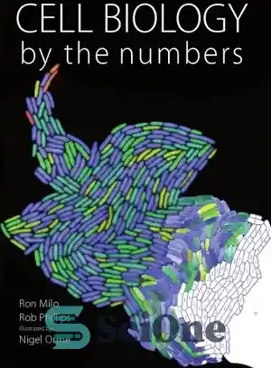 خرید و قیمت دانلود کتاب Cell Biology by the Numbers - زیست شناسی سلولی ...