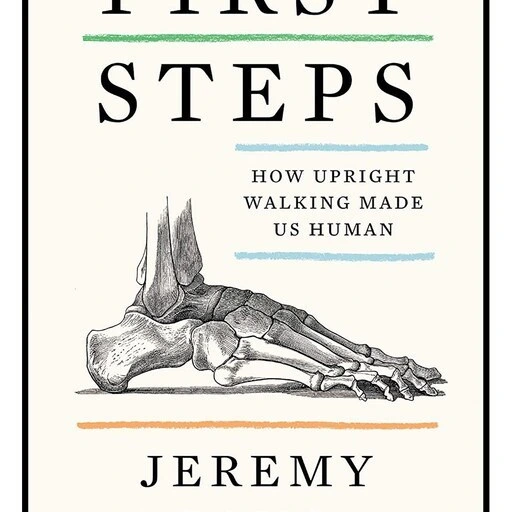 خرید و قیمت کتاب زبان اصلی First Steps اثر Jeremy DeSilva انتشارات ...