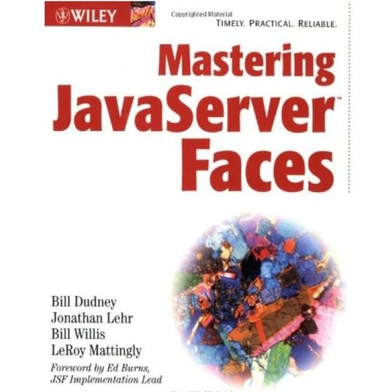 خرید و قیمت دانلود کتاب Mastering JavaServer Faces | ترب