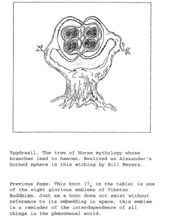 خرید و قیمت دانلود کتاب Knots and links AMS | ترب