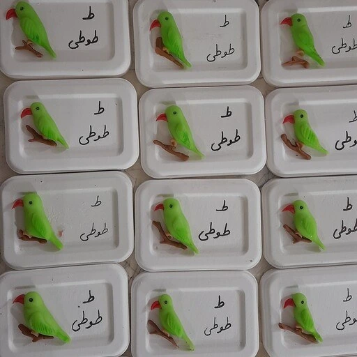 خرید و قیمت گیفت الفبا نشانه ط ط مثل طوطی هدیه ای مناسب برای کلاس