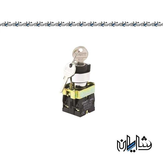 خرید و قیمت کلید فرمان دوطرفه سوئیچ دار چینت مدل NP2-BG33 | ترب