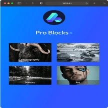 خرید و قیمت پلاگین 10 Pro Blocks Pack برای بیولینکس | ترب