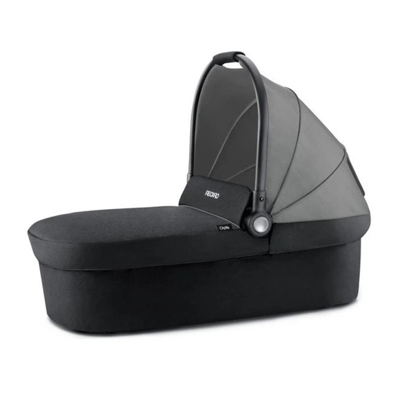 خرید و قیمت سبد حمل نوزاد citylife recaro رنگ graphite | ترب