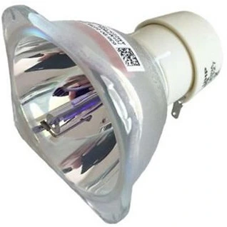 خرید و قیمت لامپ ویدئو پروژکتور ان ای سی مدل NP13LP | ترب
