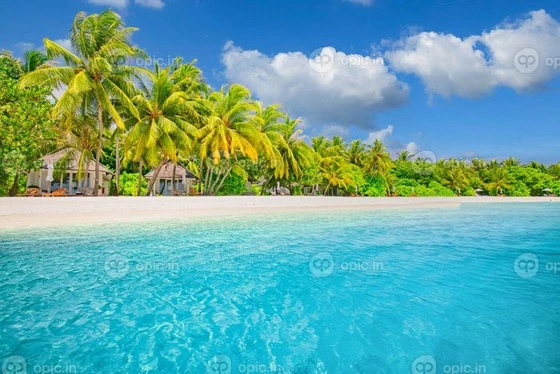 خرید و قیمت دانلود عکس بنر زیبای ساحل استوایی شن سفید و نخل نارگیل ...