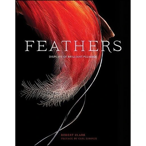 خرید و قیمت کتاب زبان اصلی Feathers اثر Robert Clark and Carl Zimmer | ترب
