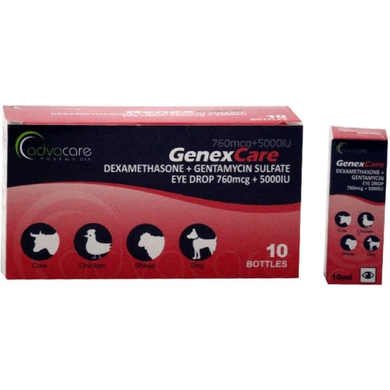 خرید و قیمت قطره چشمی حیوانات جنکس کر (حاوی دگزامتازون و جنتامایسین ) محصول شرکت ادواکر آمریکا ...