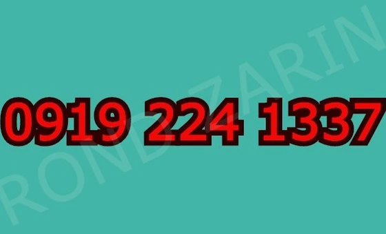 خرید و قیمت سیم کارت همراه اول 1337 224 0919 | ترب
