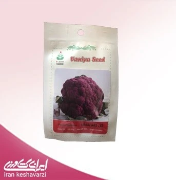 خرید و قیمت گل کلم بنفش | ترب