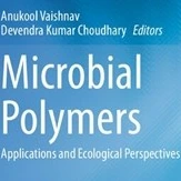 خرید و قیمت Microbial Polymers: Applications and Ecological ...