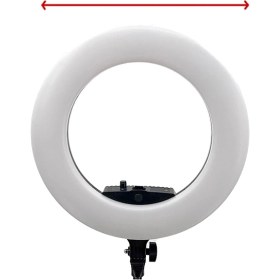 خرید و قیمت رینگ لایت عکاسی و تولید محتوا Zeus FE-480II | ترب