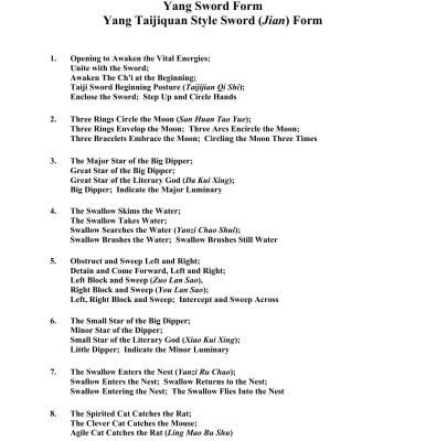 خرید و قیمت دانلود کتاب Yang Taijiquan Style Sword (Jian) Form (53 ...
