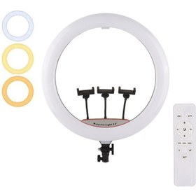 خرید و قیمت رینگ لایت LJJ-22 سایز ۲۲ اینچ با پایه | ترب