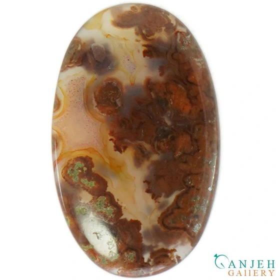 خرید و قیمت نگین عقیق شجر پاییزی تراش بیضی کد N887 | ترب