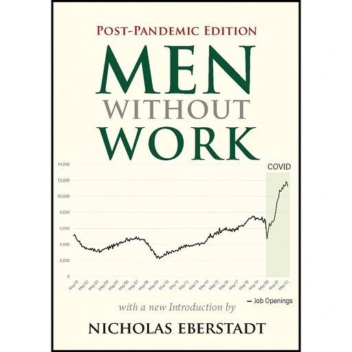 خرید و قیمت کتاب زبان اصلی Men Without Work اثر Nick Eberstadt انتشارات ...