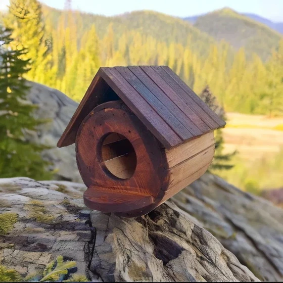 خرید و قیمت لانه پرنده-آشیان پرندگان- چوبی دست ساز 12 | ترب