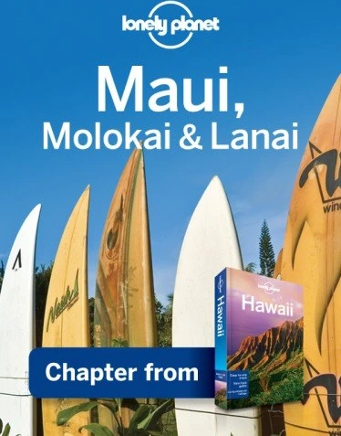 خرید و قیمت دانلود کتاب Maui -Guidebook Chapter 2012 | ترب