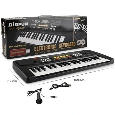 خرید و قیمت ارگ بیگ فان مدل BF-430A2 | ترب