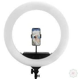 خرید و قیمت رینگ لایت مدل FRL-LJJ36 lite | ترب