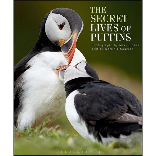 خرید و قیمت کتاب زبان اصلی The Secret Lives of Puffins اثر Dominic ...