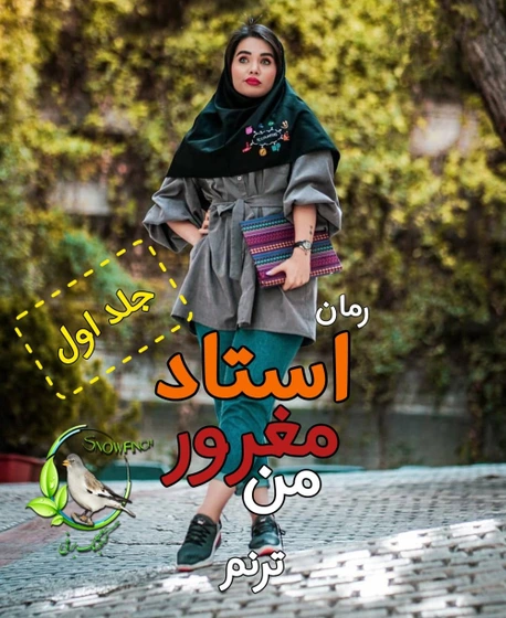 خرید و قیمت رمان استاد مغرور من – جلد اول – ترنم | ترب