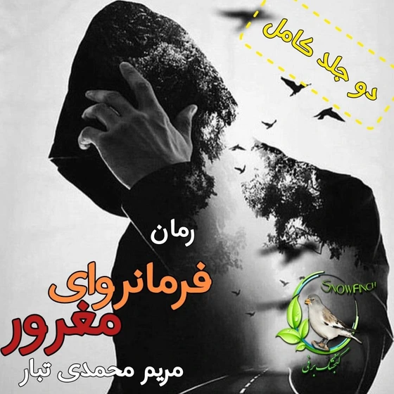 خرید و قیمت رمان فرمانروای مغرور – دو جلد کامل – مریم محمدی تبار | ترب