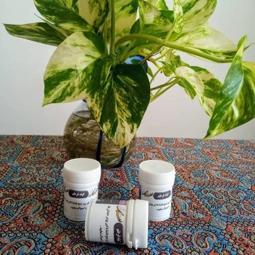 خرید و قیمت پودر بلغم(گیاه قرطم) | ترب