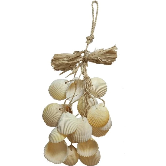 خرید و قیمت باد زنگ صدفی سفید | ترب