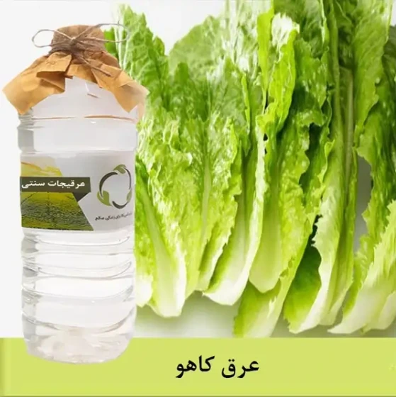 خرید و قیمت عرق کاهو | ترب