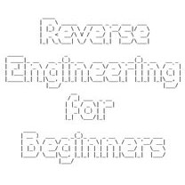 خرید و قیمت دانلود کتاب Reverse Engineering for Beginners(Understanding Assembly Language) 2020 ...