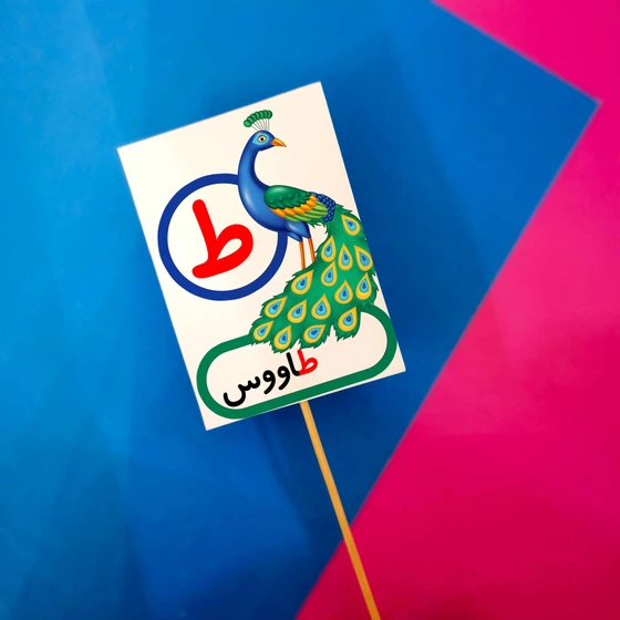 خرید و قیمت گیفت حرف ط مثل طاووس تاپر حرف ط | ترب