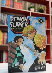 خرید و قیمت Demon Slayer Vol.3 اثر Koyoharu Gotouge | ترب