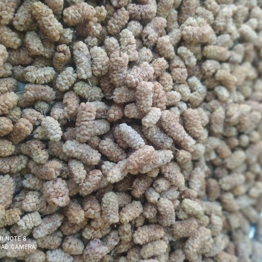 خرید و قیمت توت خشک شمرونی (در بسته بندی2000گرمی) محصول 1402تازه و ...