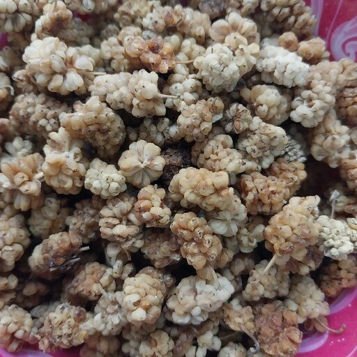 خرید و قیمت توت خشک محلی تازه خوشمزه | ترب