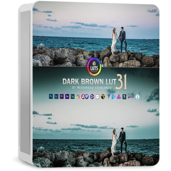 خرید و قیمت مجموعه رنگ DARK BROWN Lut 31 | ترب