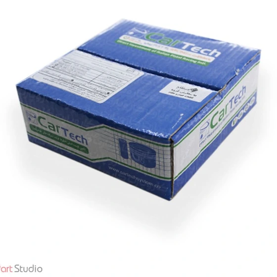 خرید و قیمت پیستون 0/25 پژو TU5 206 با گژن پین ( کارتک سیستم ) عظام | ترب