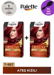 قیمت رنگ مو Palette پلت امروز ۱۶ خرداد | ترب