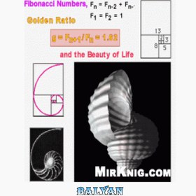 خرید و قیمت دانلود کتاب Fibonacci Numbers and the Golden Section | ترب